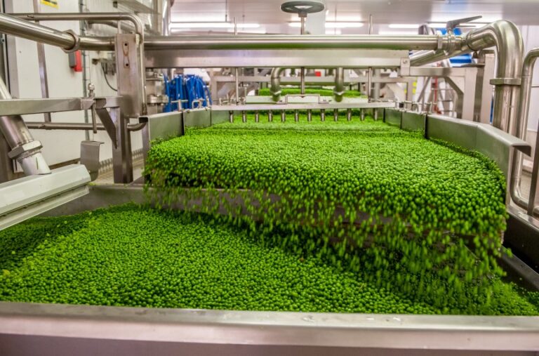 Ammonia Safety Compliance with Greenyard Frozen - Spotlight on Safety | MSA Corporate Blog