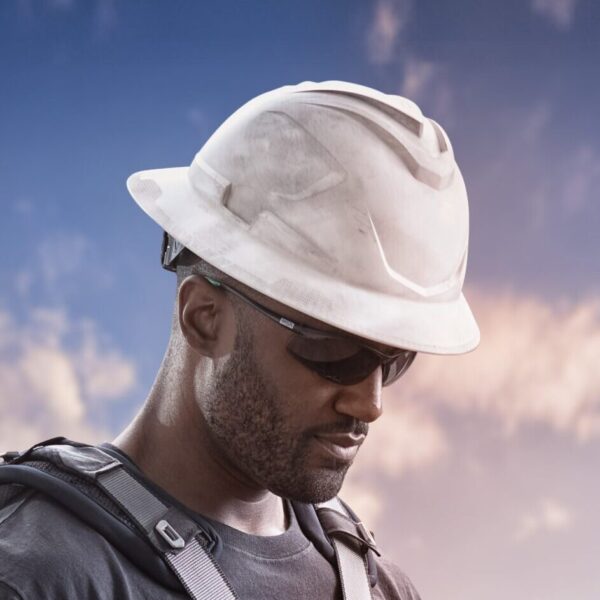 Understanding the ANSI/ASSP A10.50-2024 Standard: Heat Stress ...